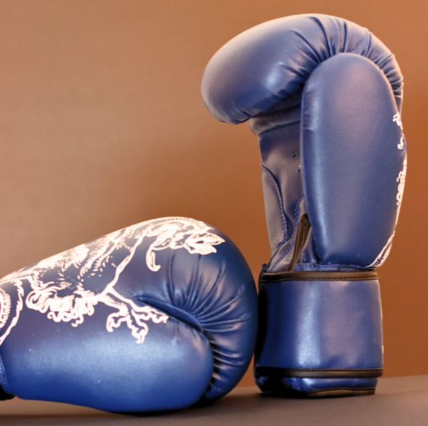 Buy Boxing Equipment - GSG Boxing Gloves for Men & Women